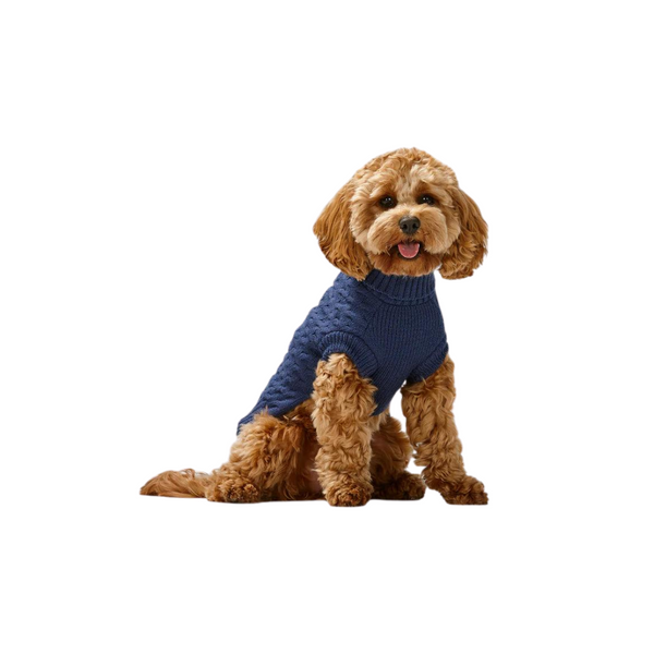 Dog Clothes, Coats & Jumpers | Snooza Dog Wear – The Pet Standard
